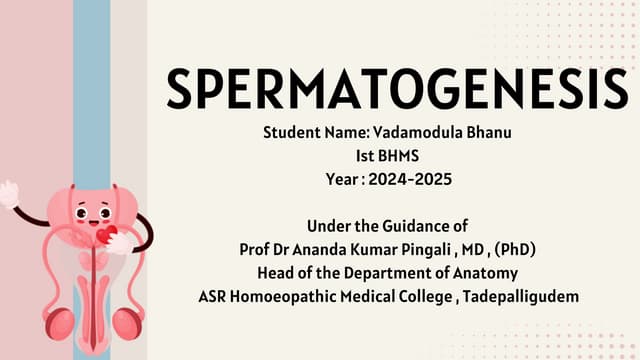 Structure of human sperm and ovum | PPTX | Infertility | Reproductive ...
