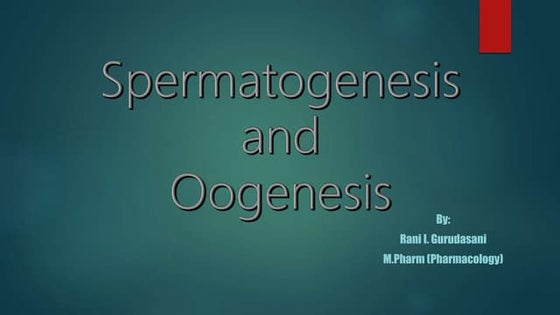 Oogenesis And Spermatogenesis In Fish Oogenesis VetSci