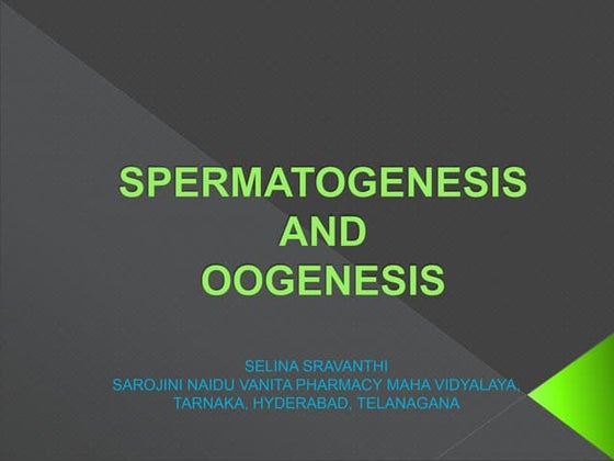 Spermatogenesis ppt.ppt