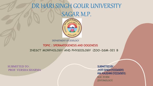 Reproductive System in Insects | PPTX