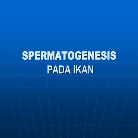 Spermatogenesis fish 07 | PPT