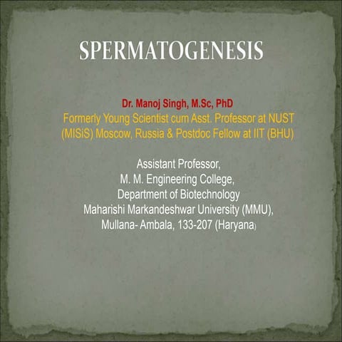 Spermatogenesis ppt.ppt