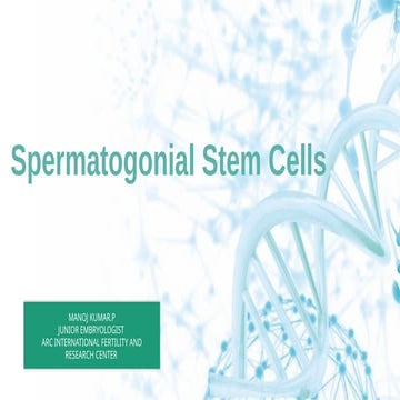 Spermatogonial Stem Cells and In Vitro Spermatogenesis | PPT