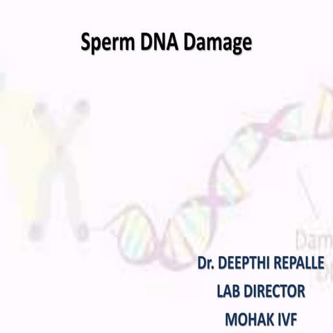 SPERM DNA DAMAGE/SPERM DNA FRAGMENTATION.pptx