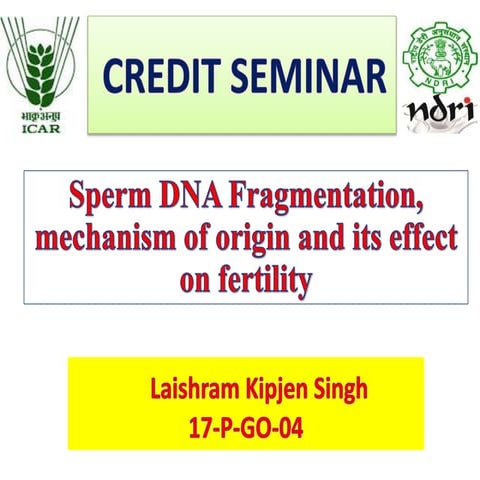 Sperm DNA fragmentation, Mechanism of origin and its effect on ...
