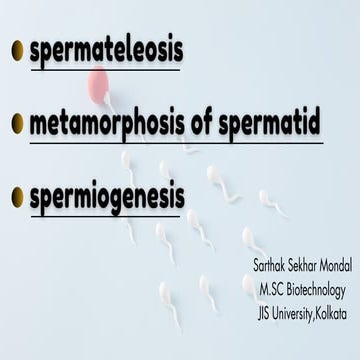 Spermiogenesis or Spermateleosis or metamorphosis of spermatid | PPT