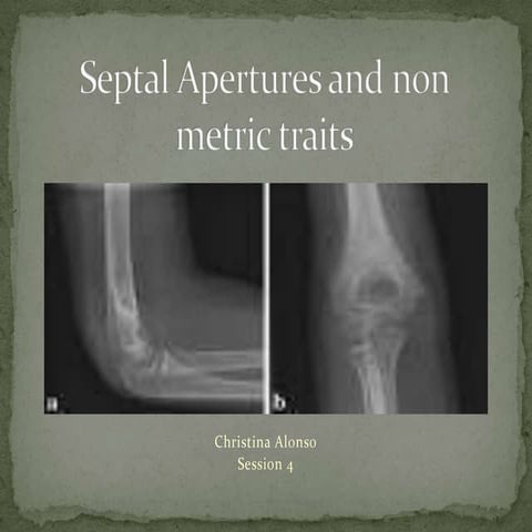 Sanisera Fieldschool 2010, session 4: Septal Apertures and non metric ...