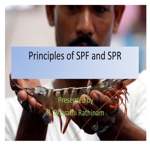 Spf and spr | PPTX