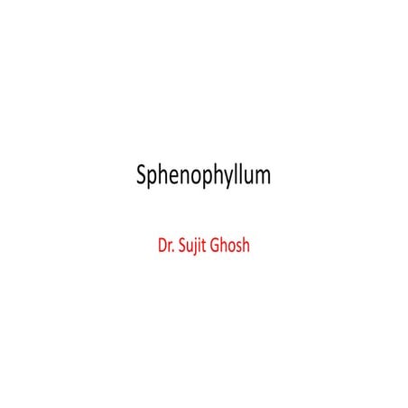 Sphenophyllum | PDF