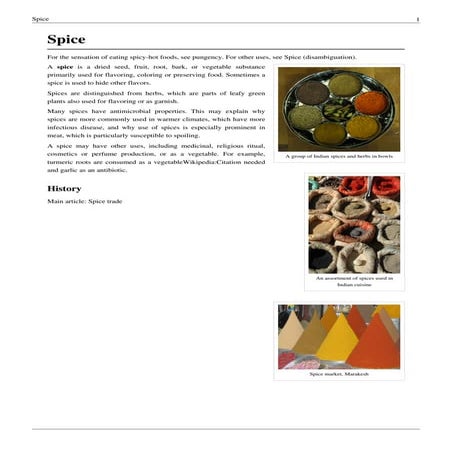 Spice | PDF