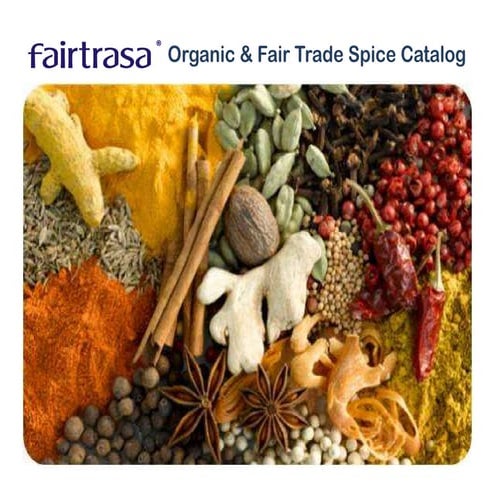 Spice Catalog | PDF