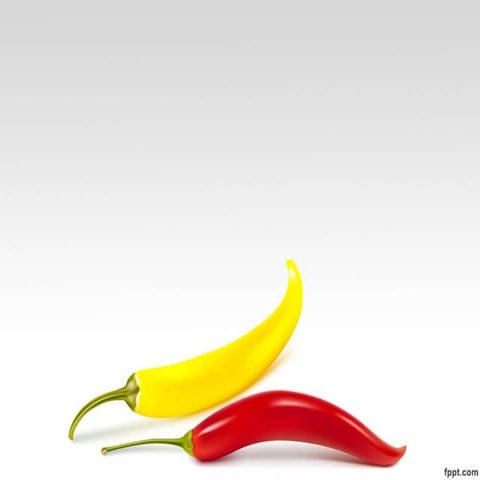 Spice Notes PPT.ppt | World Cuisines | Food & Drink