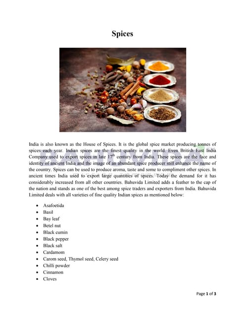 Everest Spices Branding | PPTX