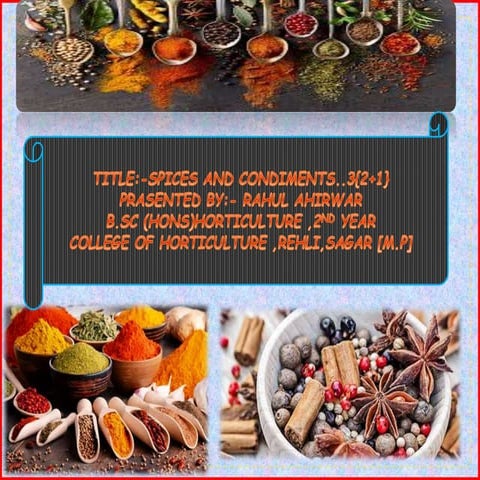 Spices and condiments ...3(2+1) presentation | PPTX