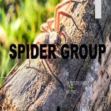 SPIDER GROUP.BHMS.HOMOEOPATHY.MATERIA MEDICA | PPTX