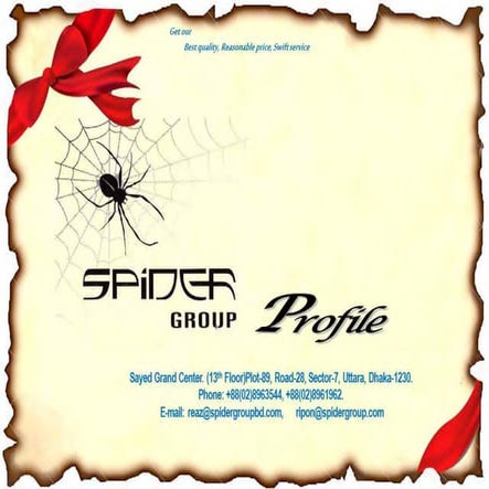 Spider group profile 2014 | PDF