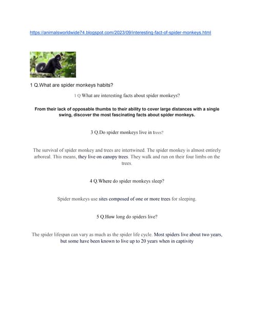Spiders | PPT