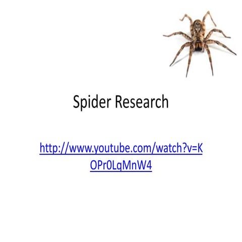 Spider research | PPT