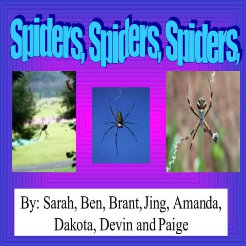 Spiders | PPT
