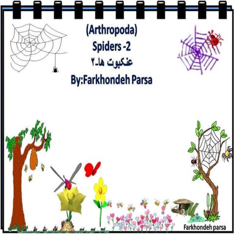 Spiders 2 | PPT