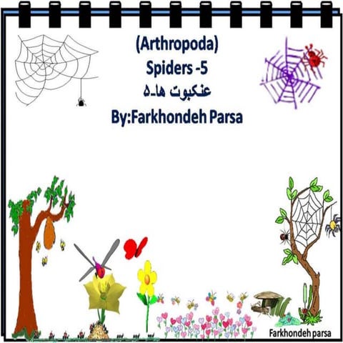 Spiders 5 | PPT
