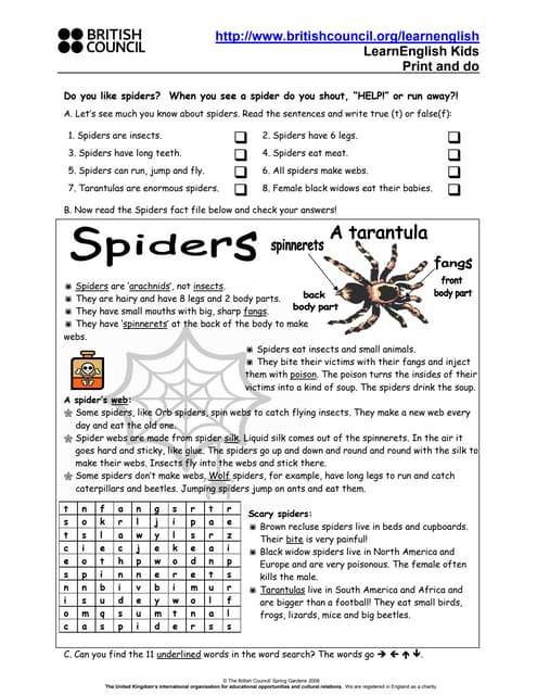 spiders | PPT