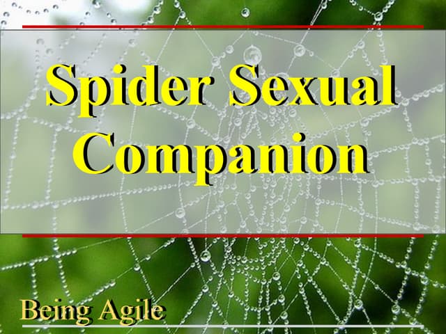 Spider Sexual Companion Ppt