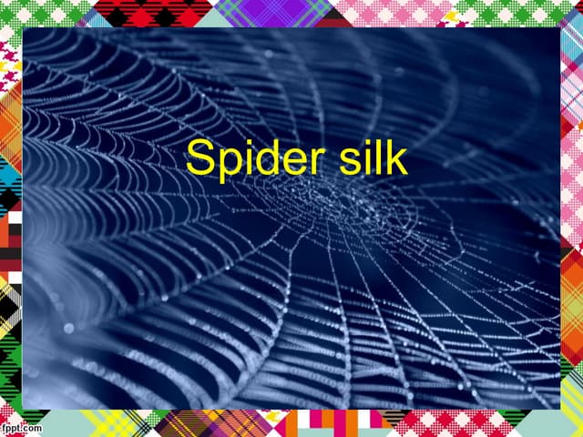 Spider silk | PPTX