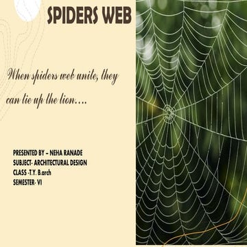 SPIDERS WEB.pdf edited.pdf