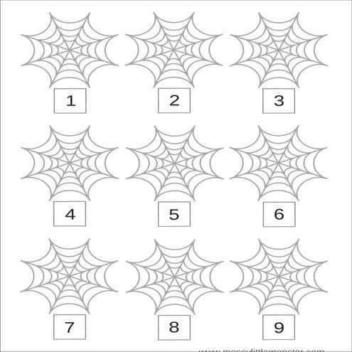 Spider web | PDF
