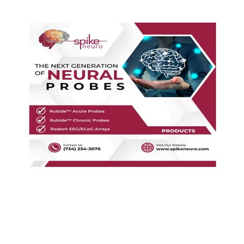 Spikeneuro-the next generation Neural Probes.pdf