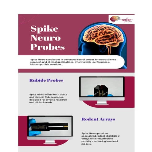 Spike Neuro Cortical Probe: Neural Interface Technolog.pdf