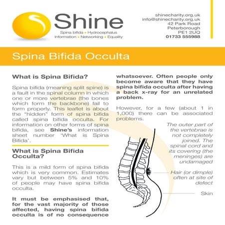 Spina bifida occulta | PDF | Pregnancy | Reproductive Health