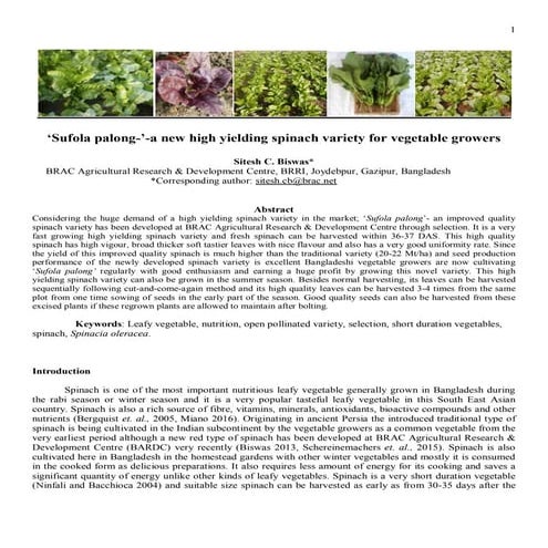 Development of a good quality spinach variety by BRAC | PDF