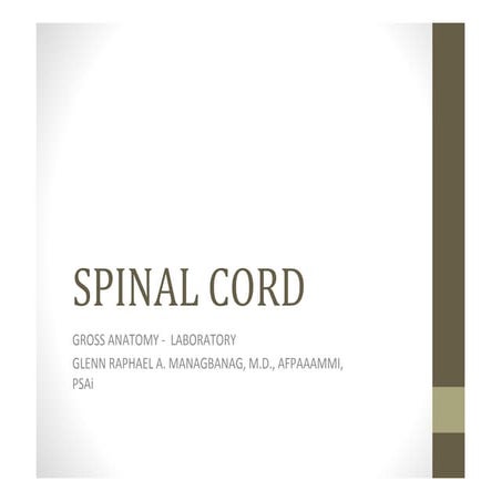 Anatomy of spinal cord.ppt