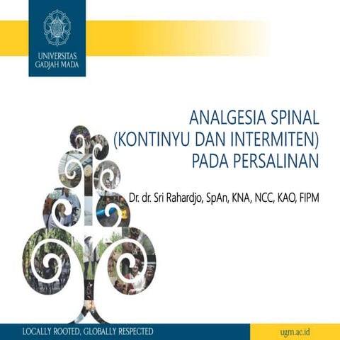 Spinal Analgesia Dr. SRI.pptx