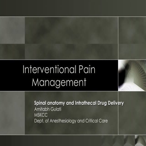 Spinal anatomy and_intrathecal_drugs | PPT | Illegal Drugs, Tobacco ...
