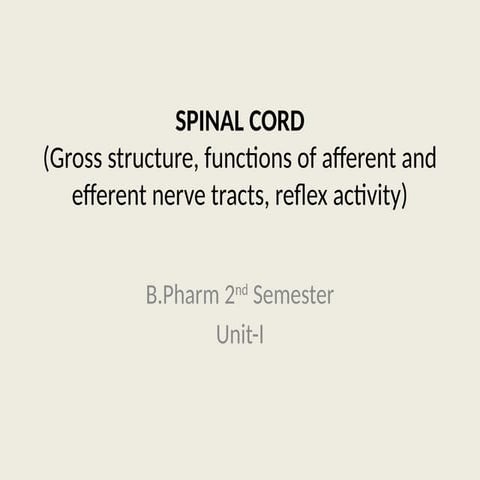 Spinal cord. Spinal cord anatomy and physiology, spinal nerves, reflex ...