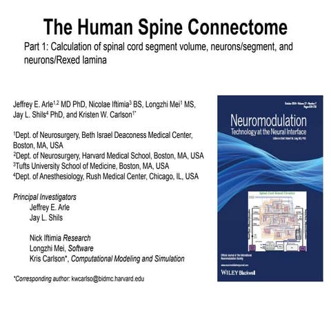 Spinal Cord Connectome Part 1 | PDF