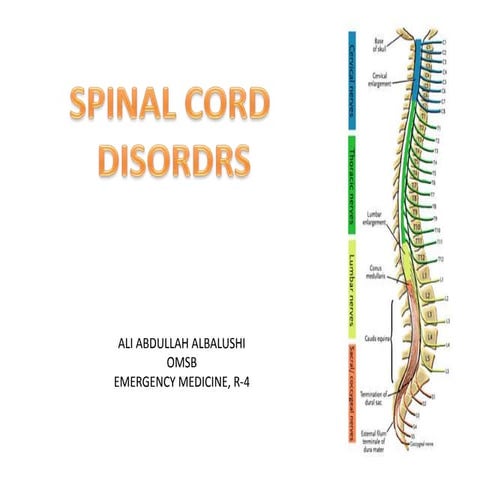 Spinal cord disorders | PPTX