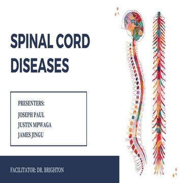 Spinal Cord Disease - Clinical Presentations and Management | PDF