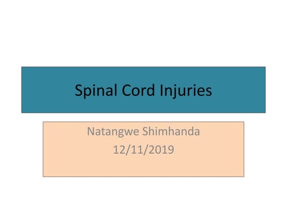 Ppt Spinal Cord Injuries Powerpoint Presentation Free Download Id