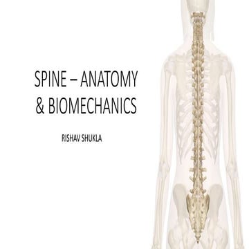 SPINE- ANATOMY AND BIOMECHANICS BY MIN^ED ACADEMY | PPT