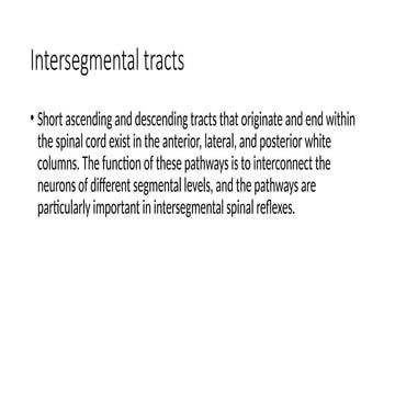 gross anatomy of spinal cord injuries MBBS 2NDYR | PPTX