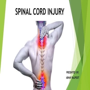 Spinal cord injury (SCI) | PPTX