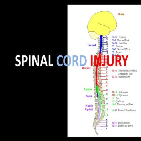 Spinal cord injury_040036.pptx