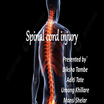 Spinal cord injury.pptxggbbhbbhhssxjkohvbb | PPTX