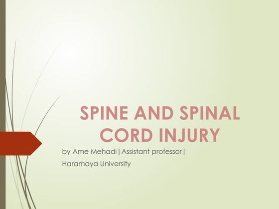 Ppt Spinal Cord Injuries Powerpoint Presentation Free Download Id