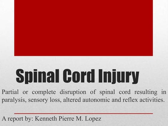 spinal tract...........................ppt | Death, Injury, or Military ...
