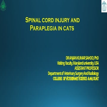 spinal cord injury and paraplegia in cats.pptx